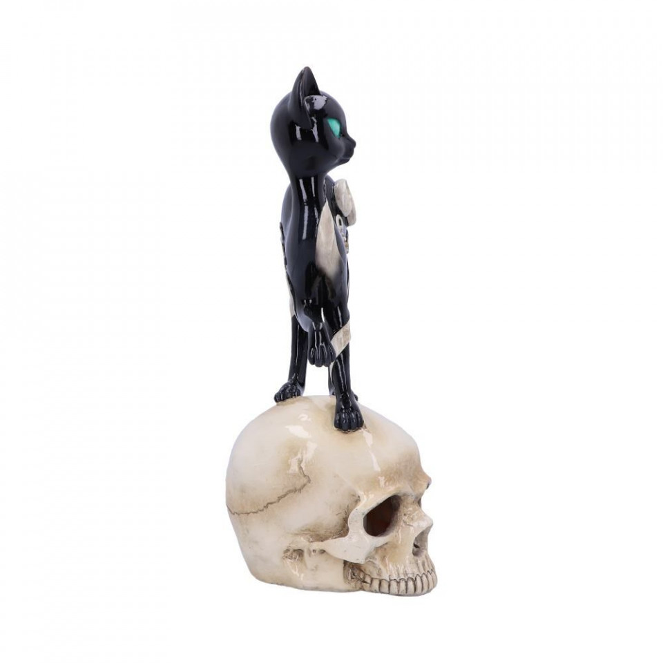 Statueta pisica pe craniu Feline Fate 35 cm