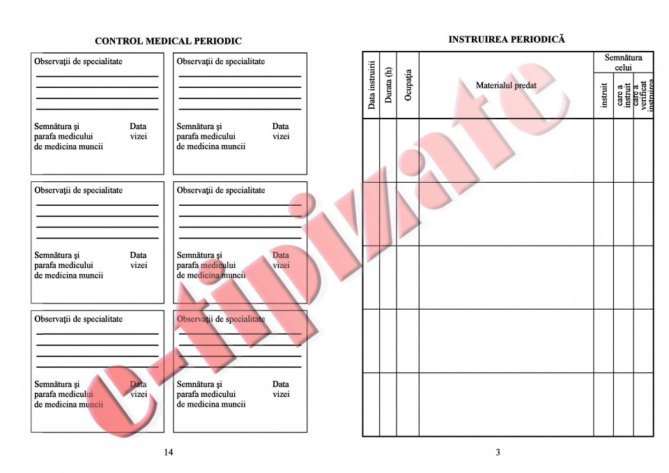 Fise SSM ( Fise de instruire individuala privind securitatea si ...