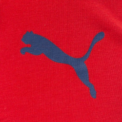 Tricou Puma Arsenal pentru barbati - Produse sport originale - Pantofi ...
