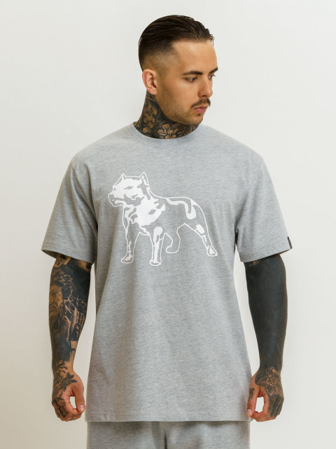 Amstaff Logo 2.0 T-Shirt - grey/white