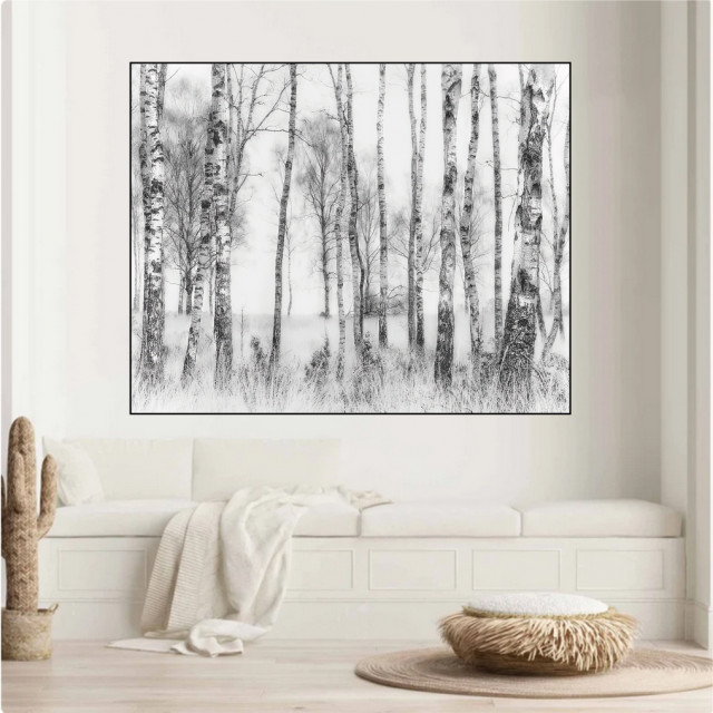 Crno bela suma, uramljena slika 40x50cm