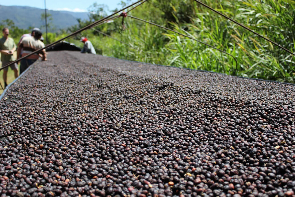 Cafea specialitate MICROLOT macinata COSTA RICA SHG EP CANDELILLA ...