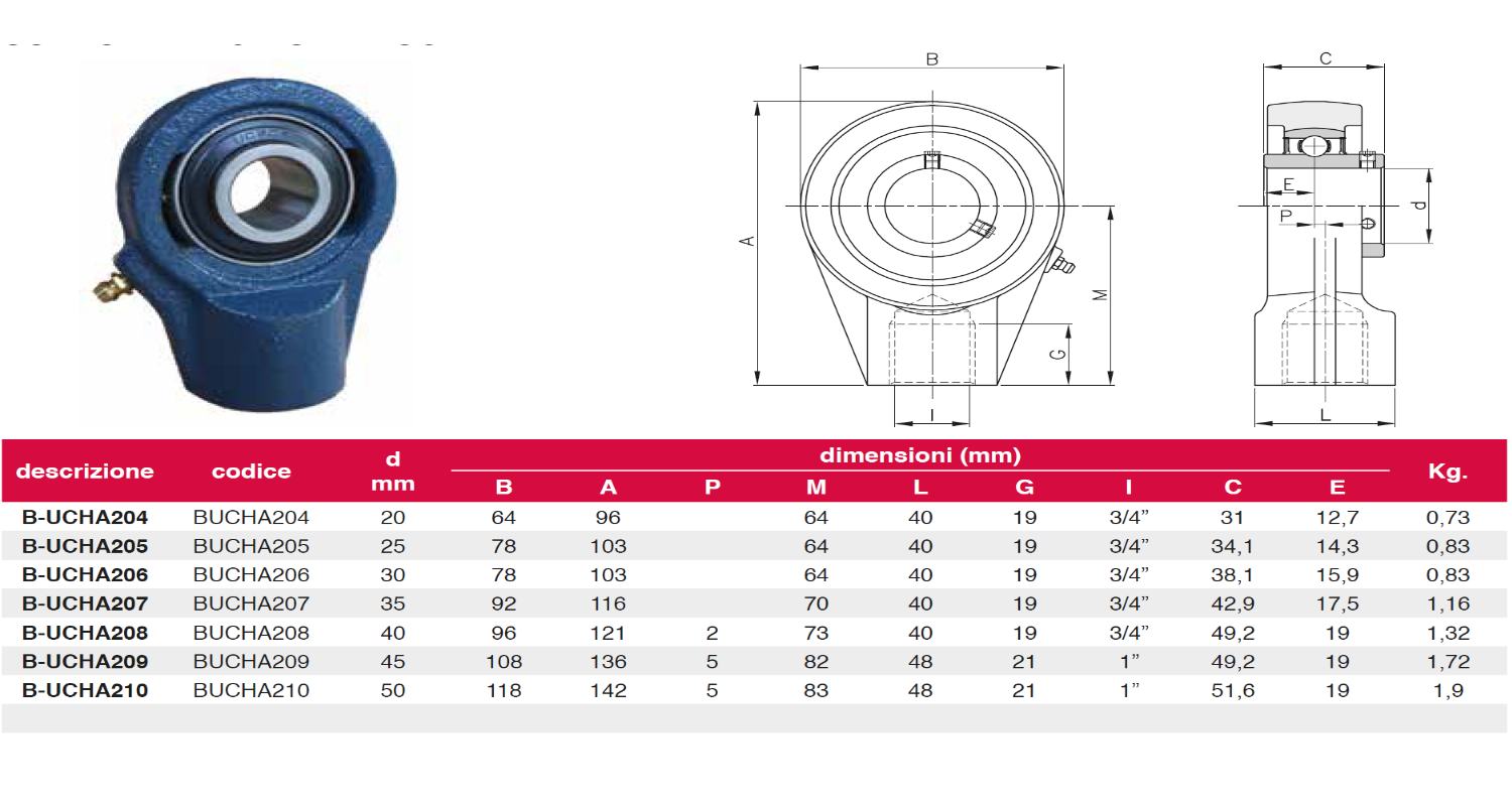 Rulmenti oscilanti in carcasa tip UCHA