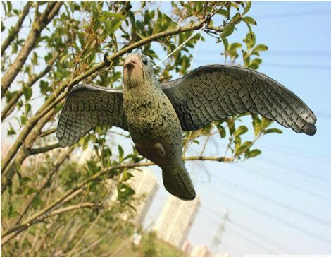 Jastreb Strašilo - za rasterivanje ptica i malih štetočina - Prodaja ...