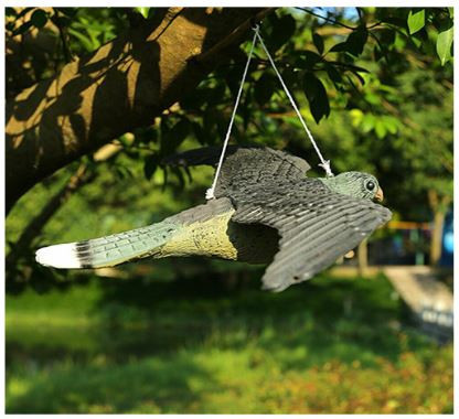 Jastreb Strašilo - za rasterivanje ptica i malih štetočina - Prodaja ...