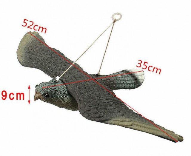 Jastreb Strašilo - za rasterivanje ptica i malih štetočina - Prodaja ...