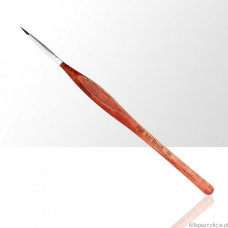 Pensula Pictura - 00