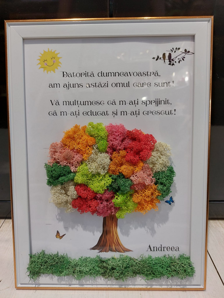 Tablou cu licheni - Mesaje diverse