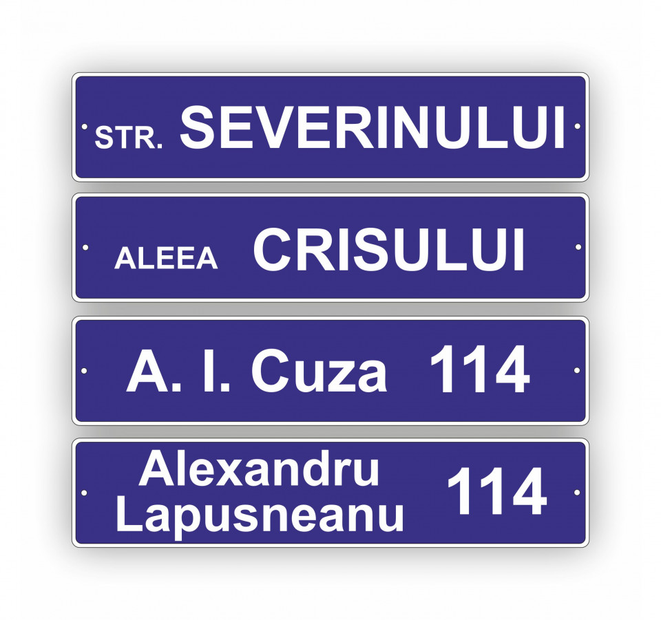 Placa Stradala personalizata 52x11 cm, Nume si Numar Strada