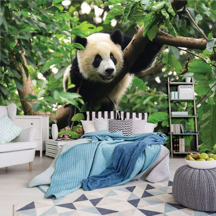 Panda wall mural - 10238