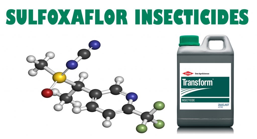 Sulfoxaflor - un insecticid daunator familiilor de albine