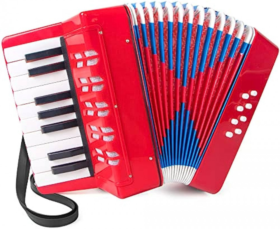 Acordeon 8 basi, 17 clape, Pentru copii - initiere, invatat, 23 x 23 x ...