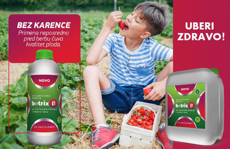 Bacillomix Botrix B 1L - mikrobiološko đubrivo za voćarske kulture i ...