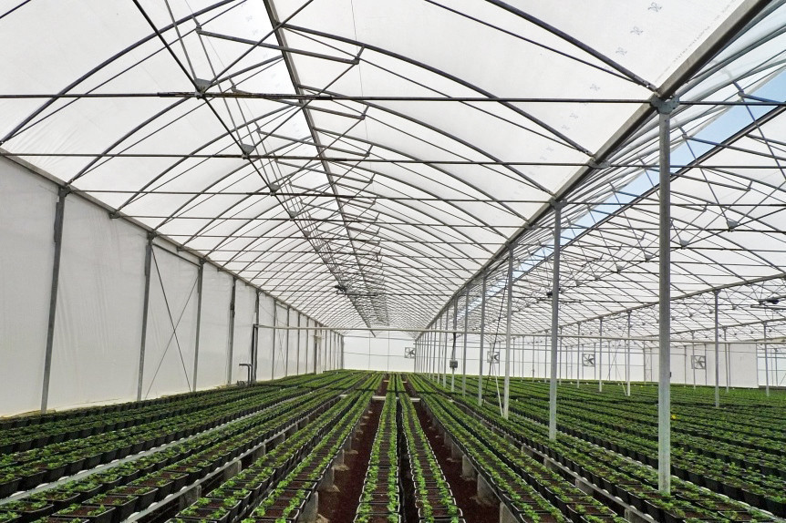 Folija za plastenike TUV 3781 180mic - širina 16m KRITIS