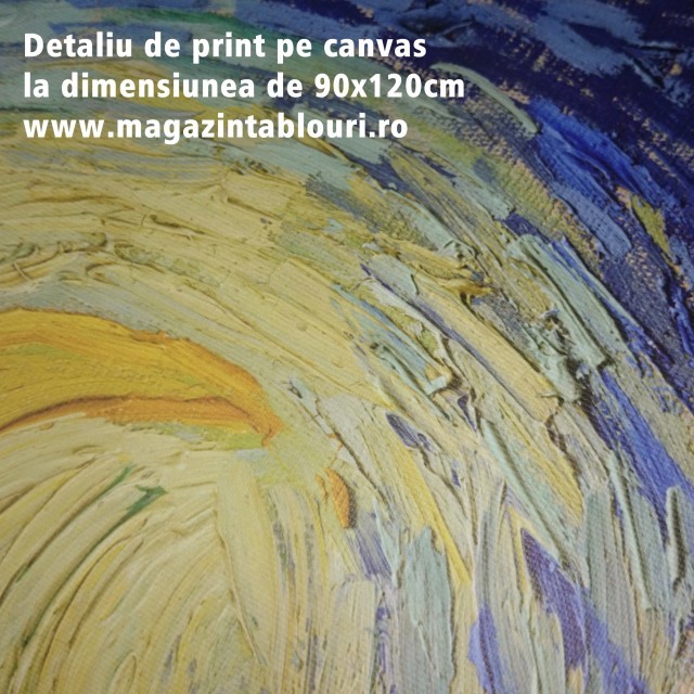 Tablou Van Gogh Noapte Instelata