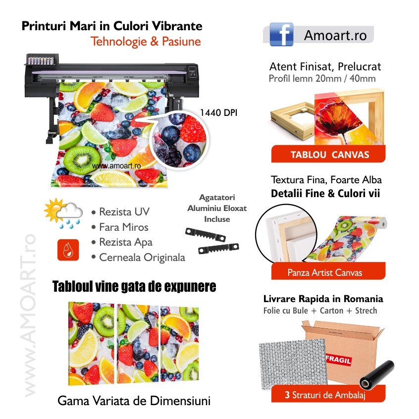 Tablou Van Gogh - Ramuri de Migdal Inflorit VVG2