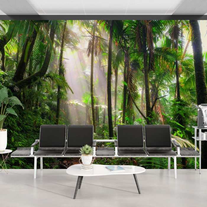 Fototapet 3D Padure Tropicala PFJ41