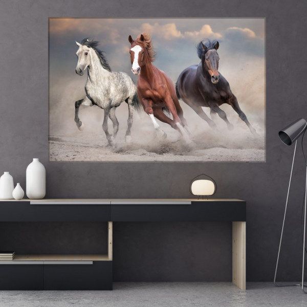 Tablou Canvas 3 Cai Frumosi Galopand HS158