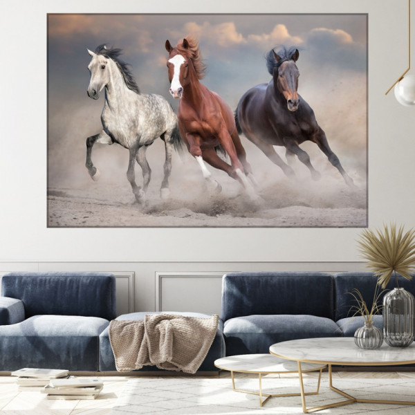 Tablou Canvas 3 Cai Frumosi Galopand HS158