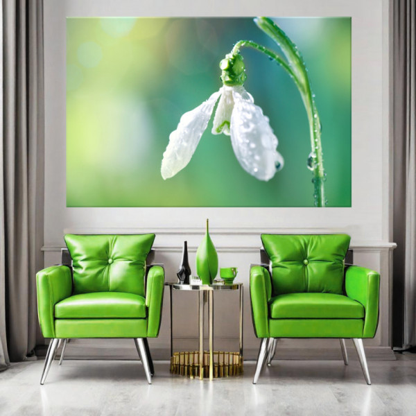 Tablou Canvas Floare de Ghiocel CFB64