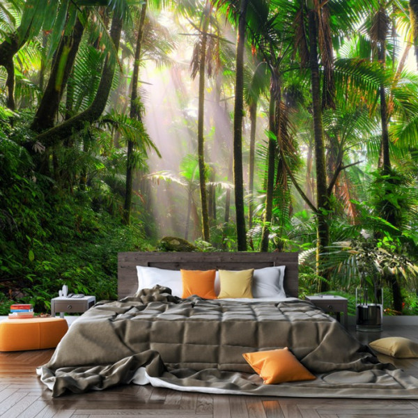 Fototapet 3D Padure Tropicala PFJ41