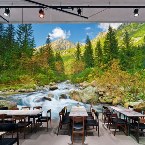 Fototapet 3D Padure de Brazi cu Rau BPC4