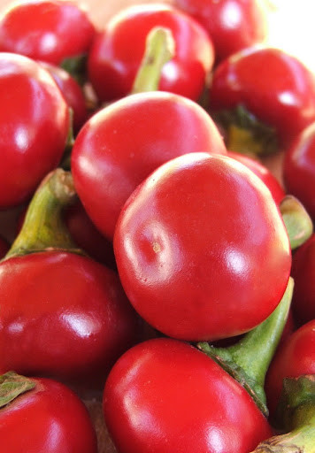 Ardei iute Cserko (0.5 gr), seminte de ardei iute tip cireasa, Kertimag