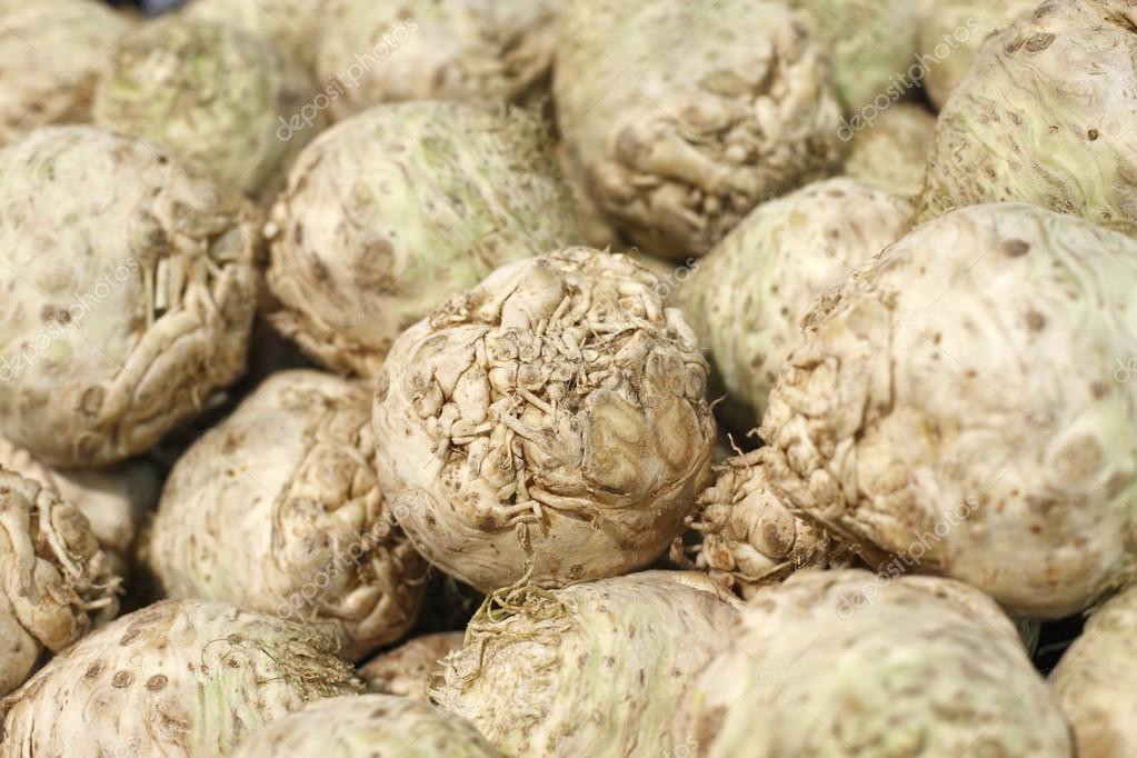 Telina Maxim (1 g), seminte de telina cu radacina mare, globuloasa, cu ...