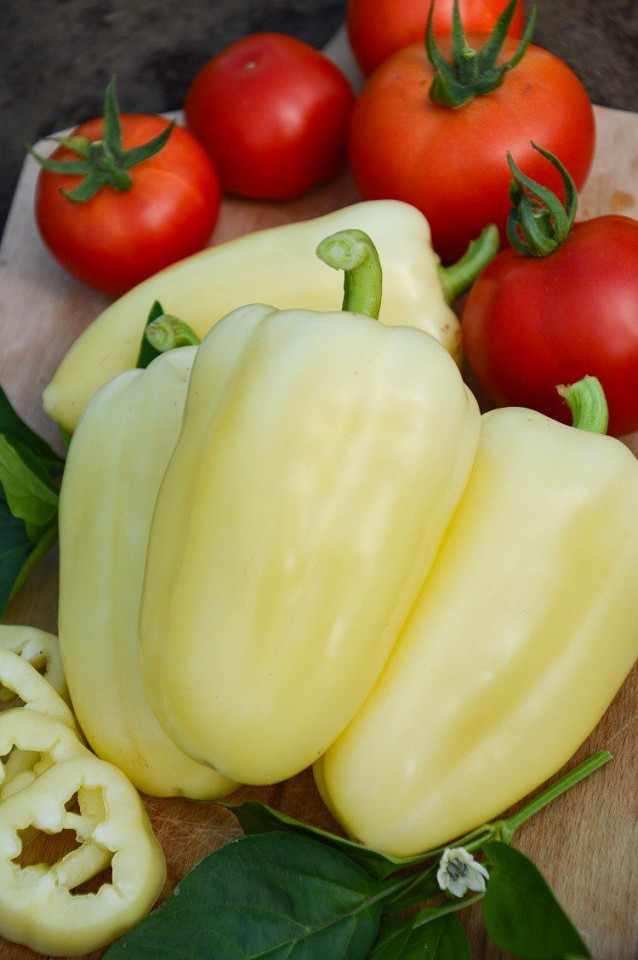 Ardei gras Zorza (45 seminte) ardei gras fructe mari, carnoase, zemoase ...