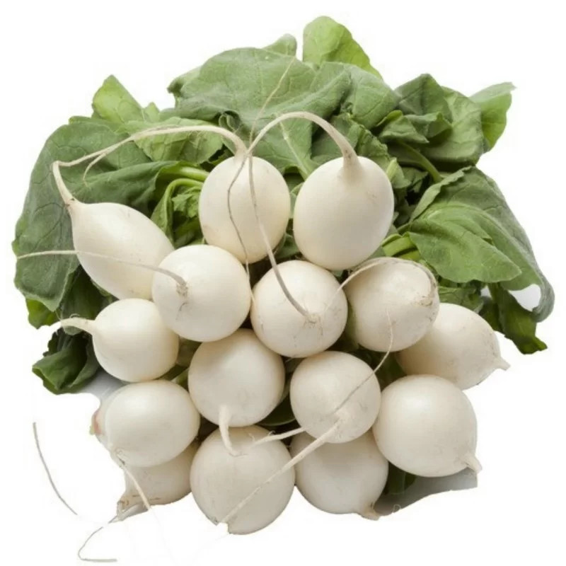 Ridichi de iarna White Round (400 seminte) ridichi de iarna rotunde ...