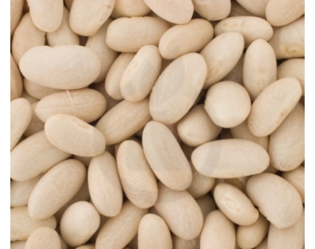 Seminte fasole alba pentru boabe Great Northern (50 gr) Agrosem