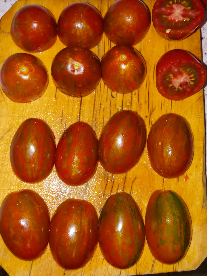 Tiger Black Plum (25 seminte) rosii prunisoare purpurii-visinii, roscat ...