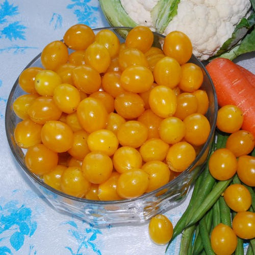 Ildi Cherry (70 seminte) rosii cherry galbene, planta viguroasa cu ...