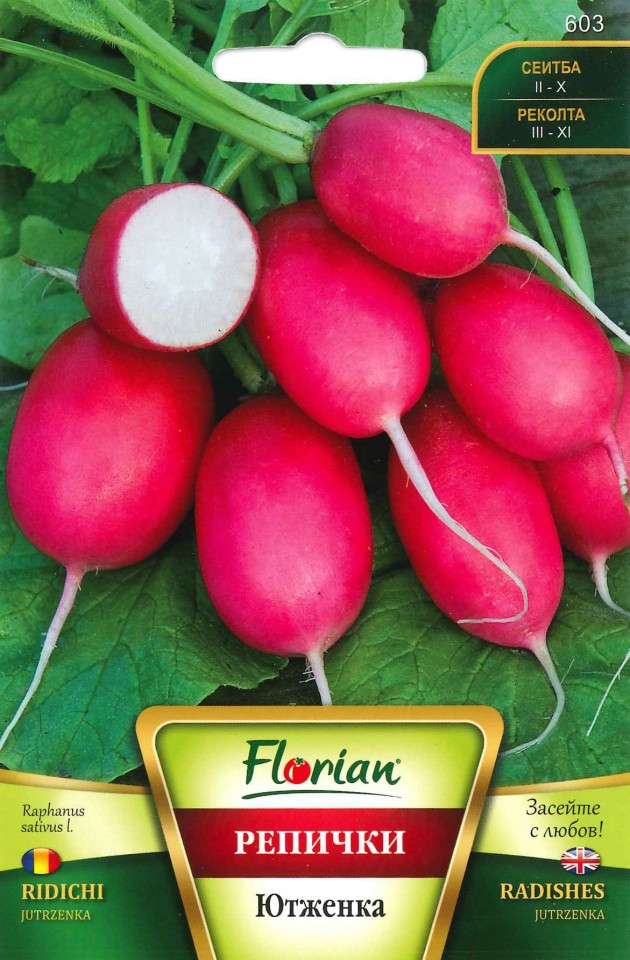 Ridichi Jutrzenka - 5 gr - Seminte de Ridichi Soi timpuriu Florian Bulgaria