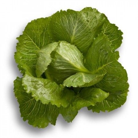 Crunchita (1000 seminte) drajate de salata tip romana cu frunze ...