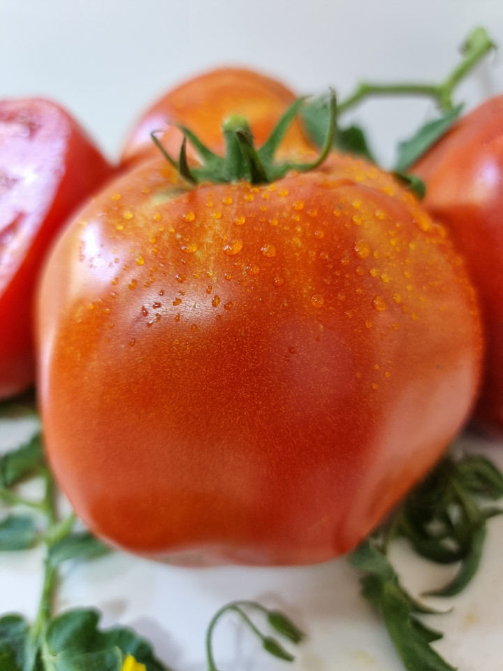 Dara (150 seminte) rosii mari nedeterminate, carnoase cu un gust ...