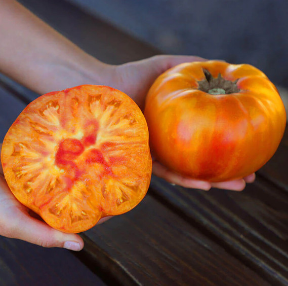 Buffalosun F1 (250 seminte) de rosii galben-portocalii exotice tip ...