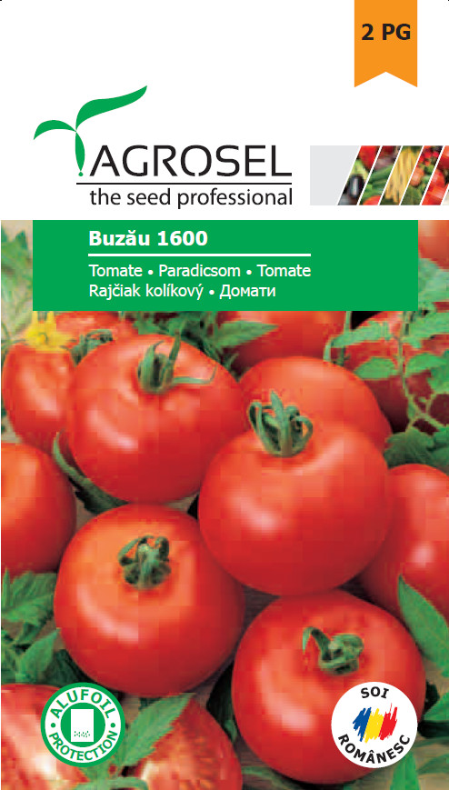 Buzau 1600 (300 seminte) rosii, semitardiv, Agrosel