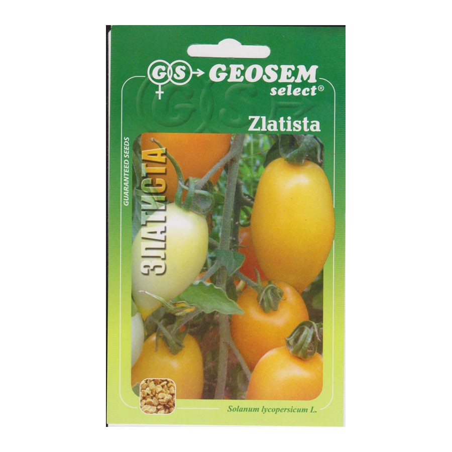 Zlatista Auriu (60 seminte) de rosii Galbene Soi Semitimpuriu Geosem ...