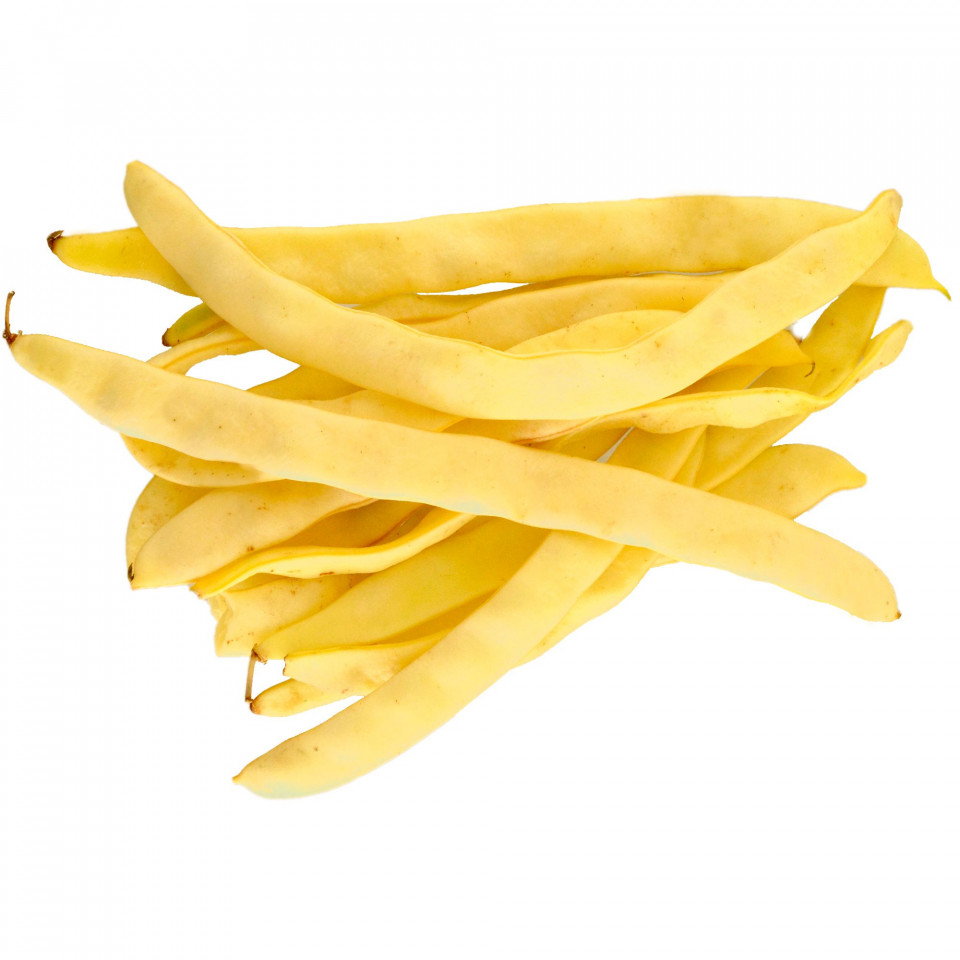Golden Mary (25 kg) seminte de fasole urcatoare galbena lata, soi ...