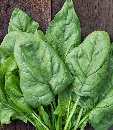 Spanac de Iarna cu Frunze Mari (100 gr) seminte de spanac Winter Giant ...