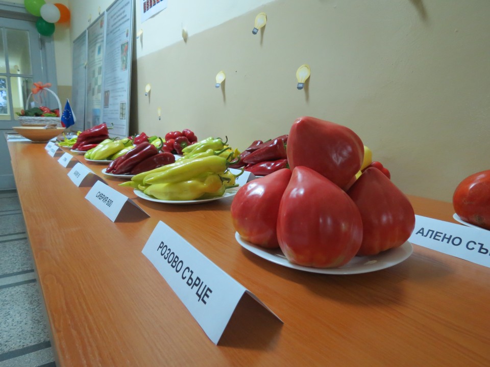 Inima Roz (150 seminte) rosii mari bulgaresti in forma de inima, IZK ...