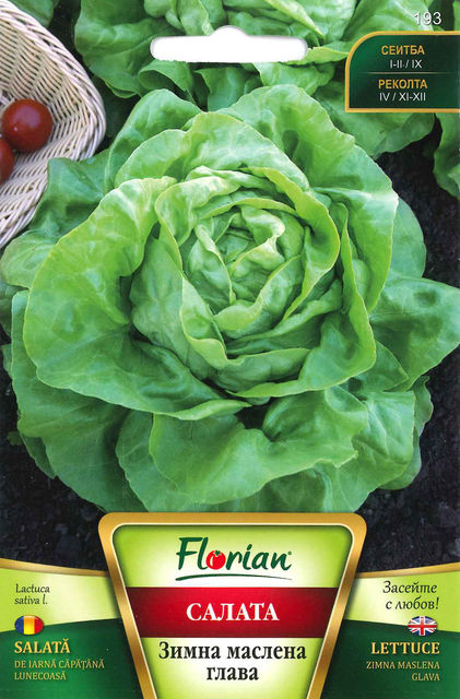 Salata MIX
