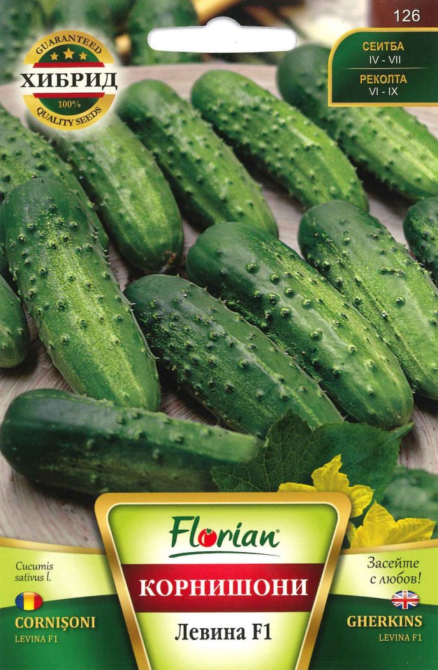 Castraveti CORNISON LEVINA F1 - 1 gr - Seminte de Castraveti CORNISON ...