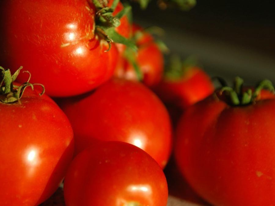 Geo F1 (50 seminte) de rosii bulgaresti profesionale, GeosemSelect Bulgaria