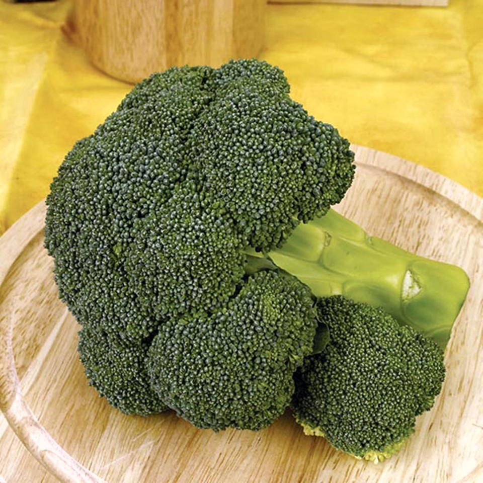 Ironman F1 (1000 seminte) broccoli semitimpuriu, Seminis
