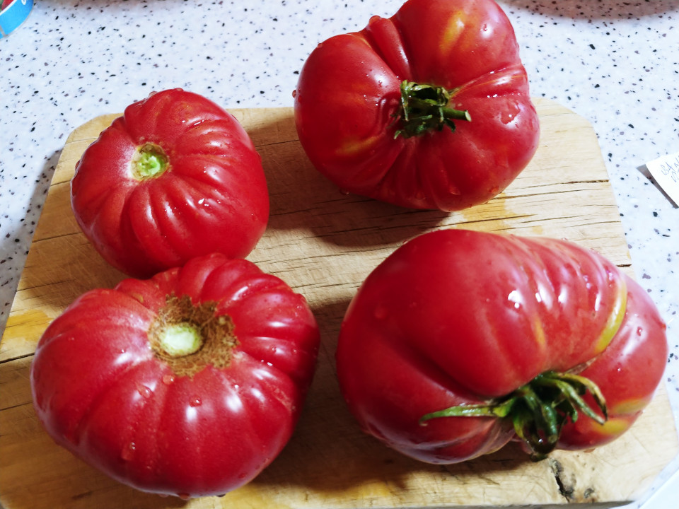 Trandafirii de Buzau (50 seminte) rosii roz gigant, carnoase, gust ...