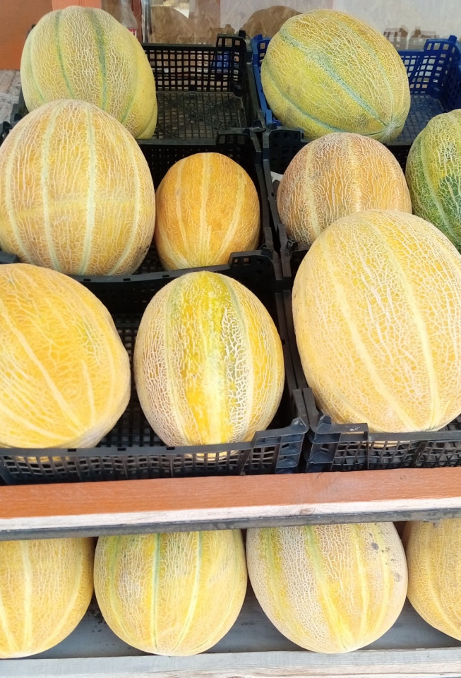 Lider F1 (100 seminte) de pepene galben tip feliat, dimensiuni mari de ...