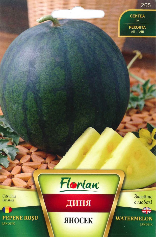 Pepene Verde Janosik - 2 gr - Seminte de Pepene Verde cu Miez Galben ...