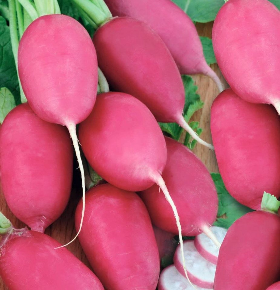 Ridichi de luna Jutrzenka (600 seminte), ridichi roz, pulpa alba ...